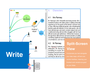 Ideamapper Pro - 3 year subscription | Remtek Workplace