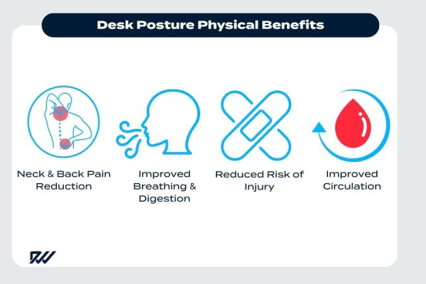 Correct Desk Posture to Prevent Back Pain | 10+ Essential Tips!